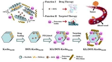 Schematic Representation Of The Ki Dox Kaolin Meoh Synthesis And Download Scientific Diagram