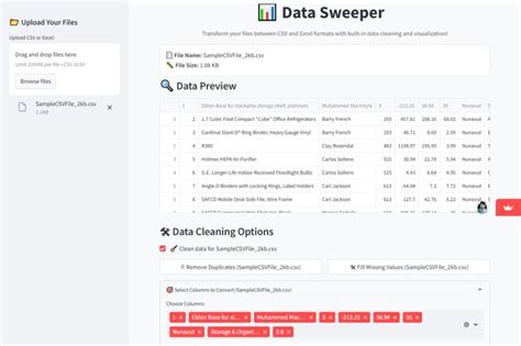 python datascience streamlit datacleaning automation csv excel