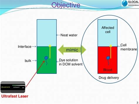 Tapas Goswami Liquid Liquid Interface For Better Drug Delivery