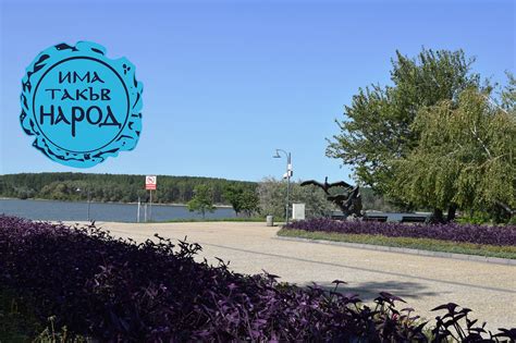 СИЛИСТРА ПП Има Такъв Народ Официална група Facebook