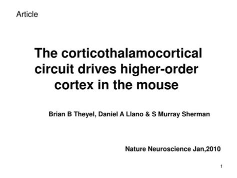Ppt The Corticothalamocortical Circuit Drives Higher Order Cortex In The Mouse Powerpoint