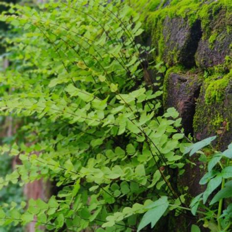 What Is The Interaction Between Members Of The Same Species The Ecotrends