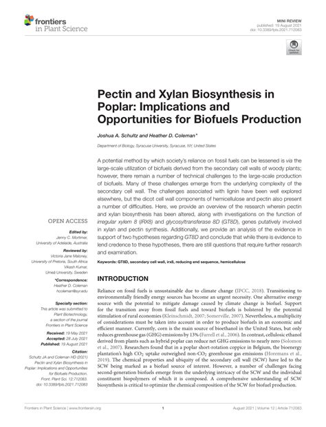 Pdf Pectin And Xylan Biosynthesis In Poplar Implications And