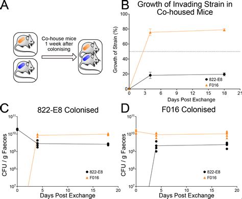New Paper Multidrug Resistant E Coli Encoding High Genetic Diversity