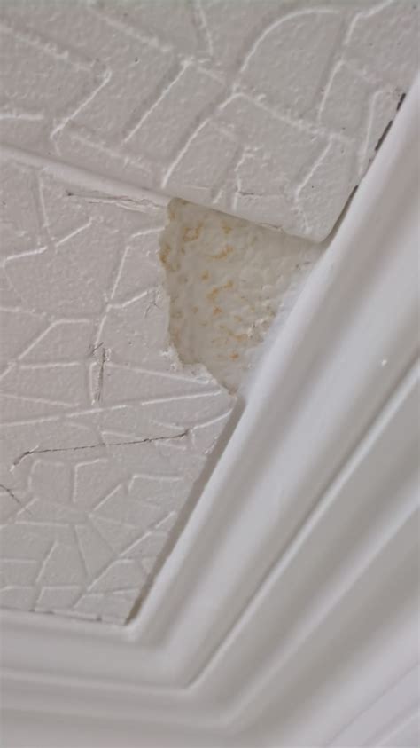 Polystyrene Ceiling Tiles Asbestos