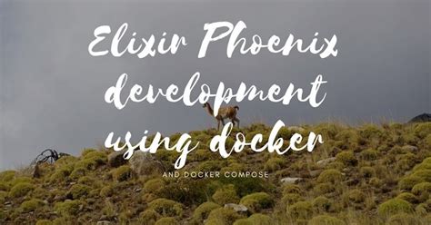 Elixir Phoenix Development Using Docker And Docker Compose