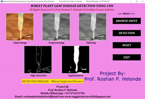Wheat Leaf Disease Classification Using CNN Convolutional Neural Network Wheat Leaf Disease