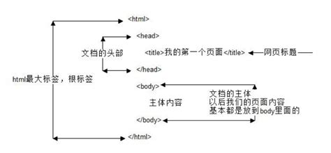 前端开发入门教程 html标签（上） html绘制大括号包括哪些内容 csdn博客