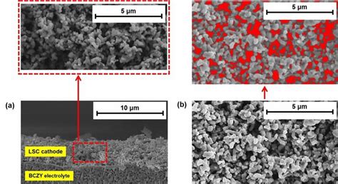 Sem Images At A Cross Section And B Cathode Film Surface Red