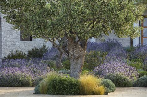 Gallery Of Amanzoe Luxury Hotel And Villas Edward Tuttle