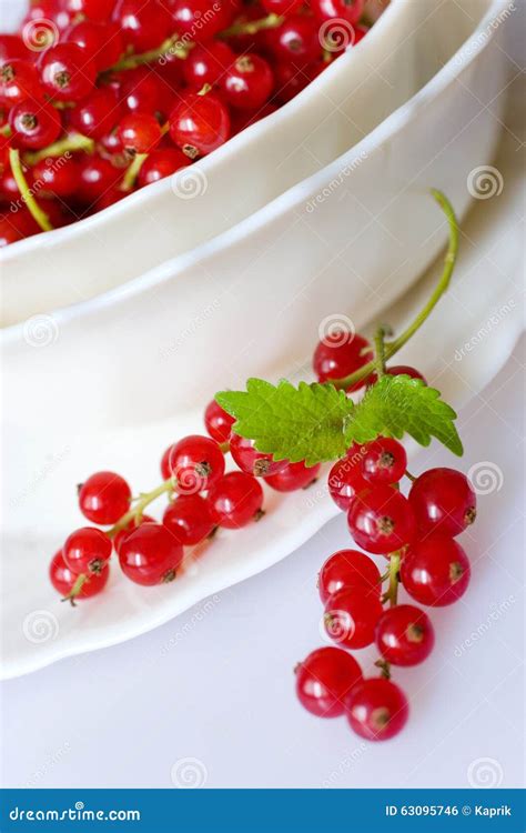 Bacche Del Ribes Rosso In Una Ciotola Bianca Fotografia Stock Immagine Di Frutta Rosso 63095746