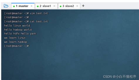 Hadoop集群测试3 Disabling Erasure Coding For Path Csdn博客