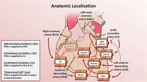 Intro To Ekg Interpretation Myocardial Infarctions Part 1 Of 2