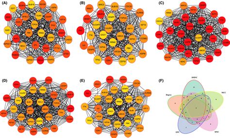 identification of hub genes via multiple algorithms a e screening