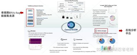 单细胞挖掘系列二CancerSCEM单细胞数据库使用指南 知乎