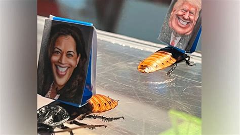 Kamala Harris Roach Wins Njpmas 21st Annual Cockroach Derby Pest