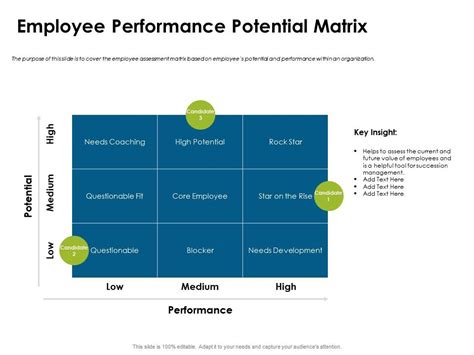 Employee Performance Potential Matrix Succession Ppt Powerpoint