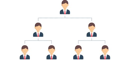 Binary Mlm Software Mlm Software Development Company In Delhi Mlm
