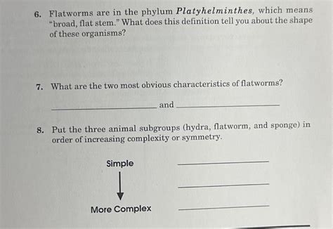 Solved Flatworms Are In The Phylum Platyhelminthes Which