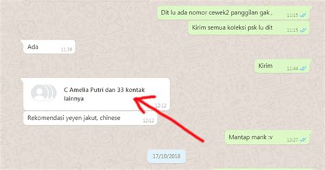 12 Nomor Whatsapp PSK Cewek Cantik MeAplikasi