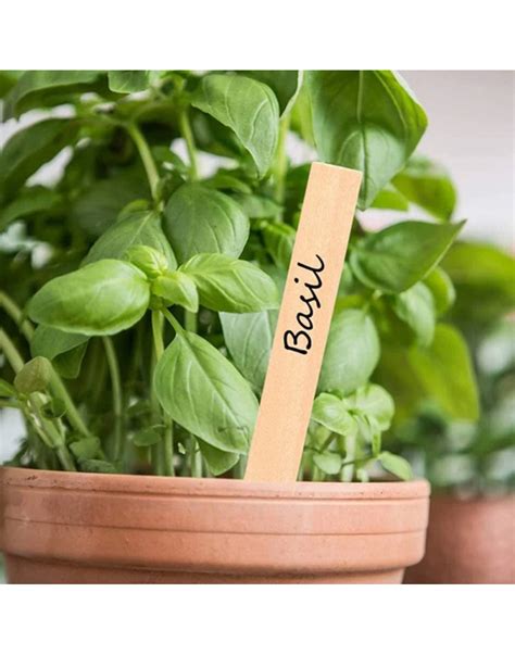 50 Plant Labels Wooden Plant Labels Garden Labels Stakes