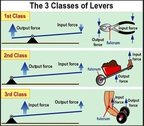 First Class Lever