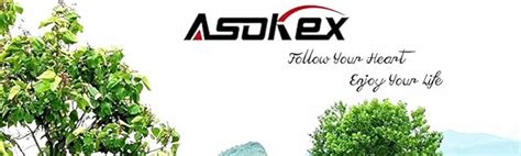 L2 R2 Ps4 Trigger Extenders 2 Pairs L2 R2 Triggers 4pcs Joystick Cap 2 Pairs Led