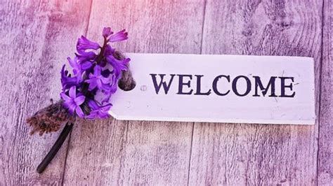 Ppt Of Interpolation For Newtons Forward Pdf