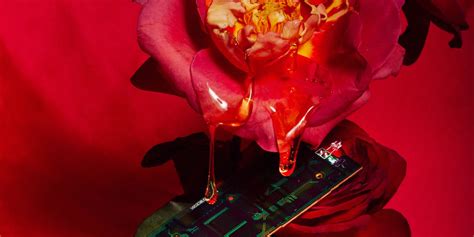 How Tech Will Change Sex And Intimacy For Better And Worse WSJ