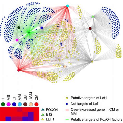 in situ hybridization validation of microarray results download