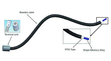 Actuator Design Flexible Shape Memory Alloy Sma Based Actuator Download Scientific Diagram