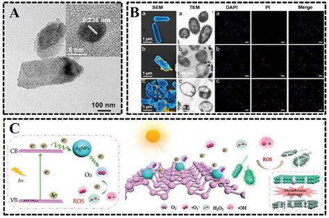 Photocatalytic Antifouling Coating From Fundamentals To Applications Photocatalysis Research