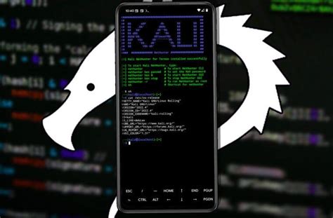 Run Ubuntu 24 04 On Windows 11 With Gui Using Wsl