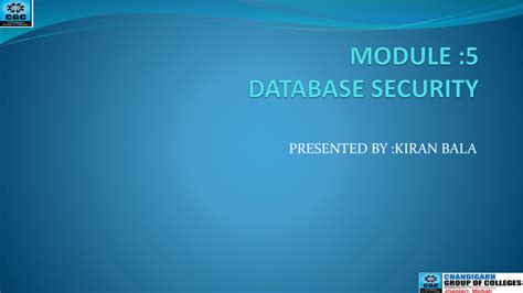Database Security Authentication Access Control Sql Injection