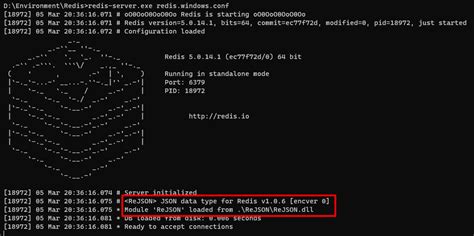 Redisjson 小四先生的云 Redisjson 小四先生的云