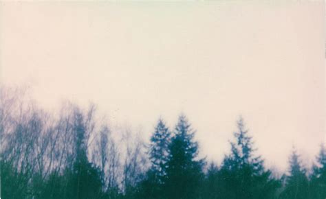 你知道 Npm Yarn Pnpm Bun 之間的差別 努力成長的前端小宅宅 Medium