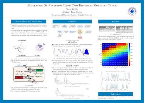 Simulation Of Reception Using Two Different Molecule Types Senior Projects
