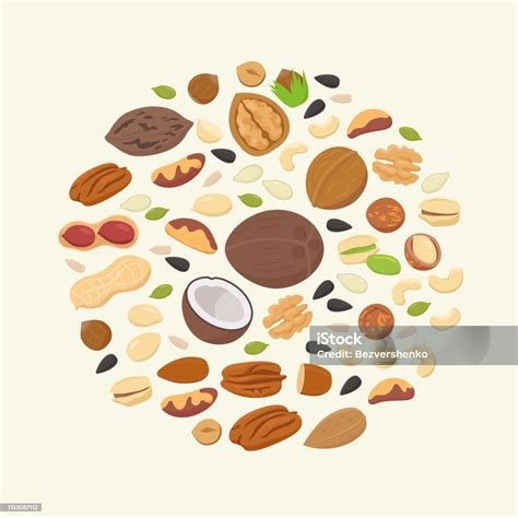 흰색 피칸 마 카 다미아 브라질 너트 호두 아몬드 및 헤이즐넛 피스타치오 캐슈 넛 땅콩 및 코코넛에 고립 된 다양 한 견과류의