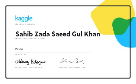 Sahib Zada Saeed Gul Khan Completed The Pandas Course On Kaggle