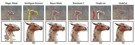 Opencv Grabcut Foreground Segmentation And Extraction Pyimagesearch
