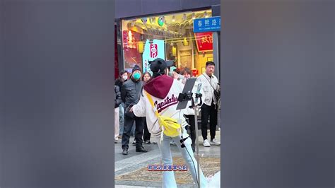 芒种 演唱 🐱萌小猫🎤¹⁰²⁴ 一想到你我就 Wu～路人视角 好听的声音 真人真唱 后来遇见你 萌小猫 Youtube