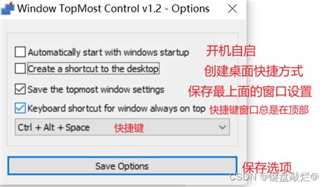 windows 任意窗口置顶显示 window topmost control csdn博客