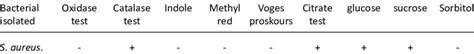 Biochemical Test Of Staphylococcus Aureus Download Scientific Diagram