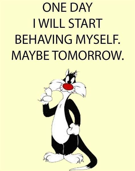 Pin By J Me On Funnies Funny Cartoon Quotes Cat Quotes Funny