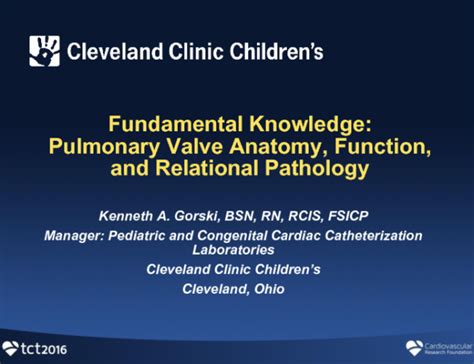 Fundamental Knowledge Pulmonic Valve Anatomy Function And Relational Pathology