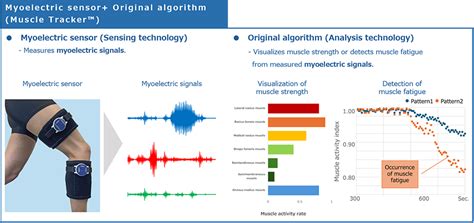 Visualization Of Muscle Activity With Myoelectric Sensormuscle Tracker