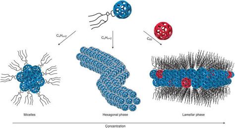 Self Assembly Alchetron The Free Social Encyclopedia