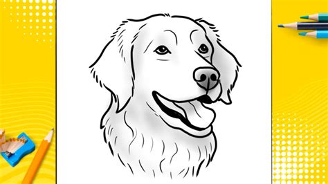 Golden Retriever Line Drawing Easy
