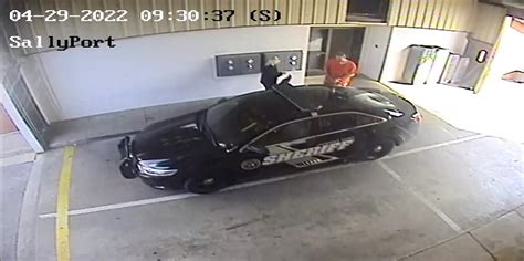 Vicky White Went Shopping At Sex Toy Shop Before Escape With Casey Cole White