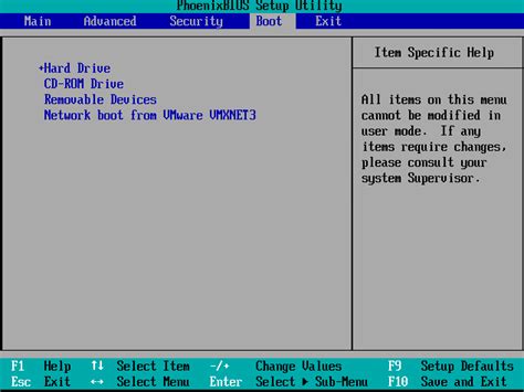 Cannot Change Boot Order VMware Items Cannot Be Modified In User Mode GeralexGR